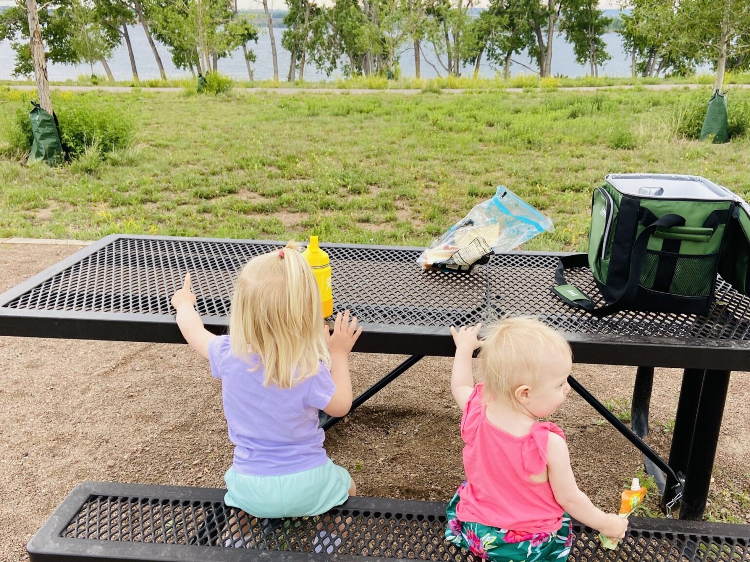 Chatfield State Park: Everything You Need to Know Before Visiting